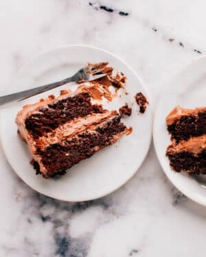 Moist Chocolate Cake Recipe (How to Make Cake Moist) | Foodess