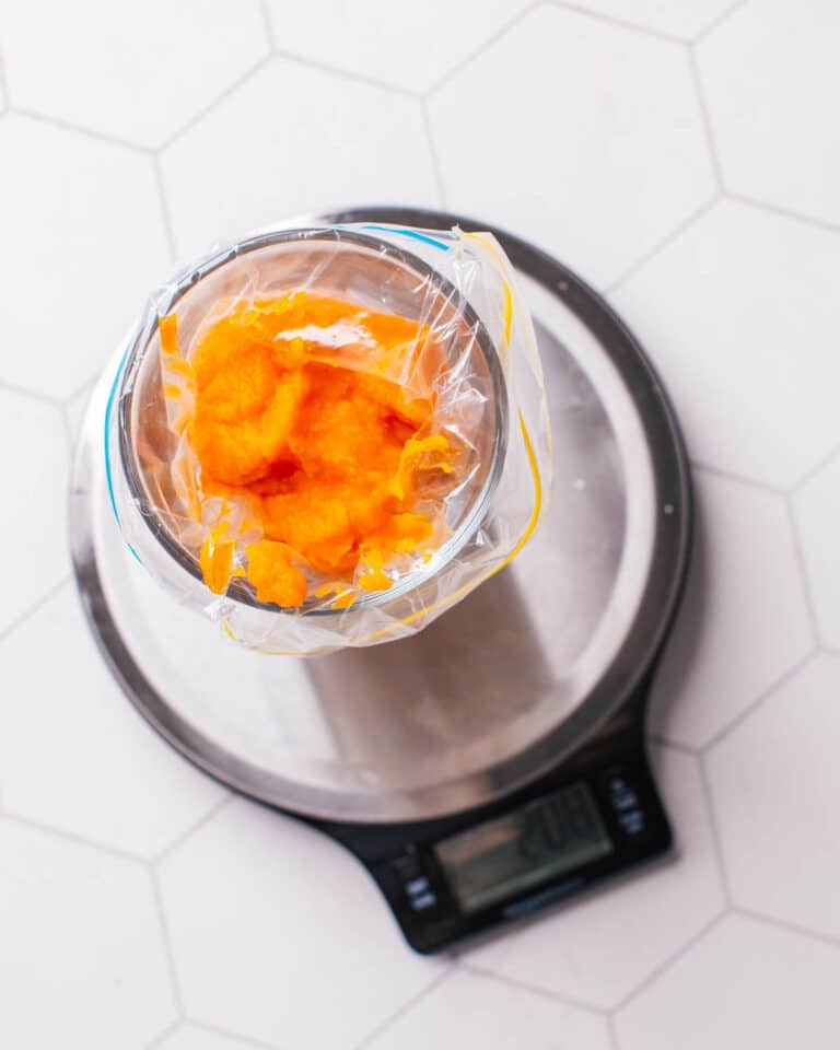 Can You Freeze Canned Pumpkin Puree? Here's how to do it right!