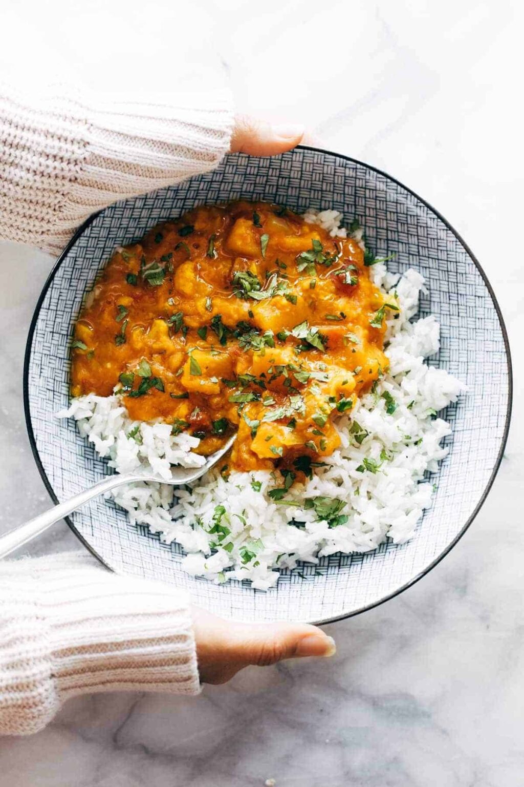 Instant Pot Indian Recipes (14+ Quick, Tasty Dinners You'll LOVE!)